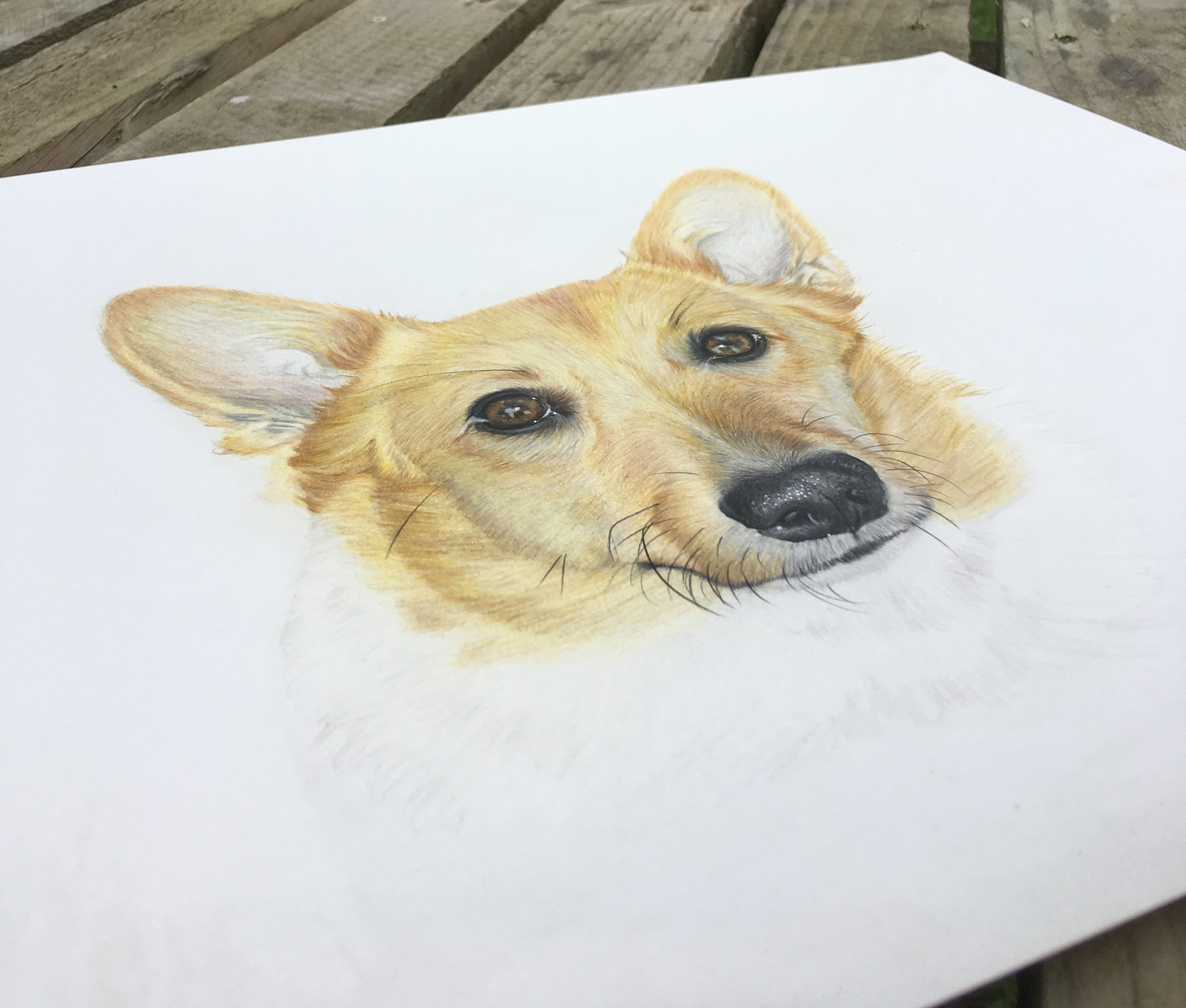 www.cherrywatson.com – realistic pet portraiture