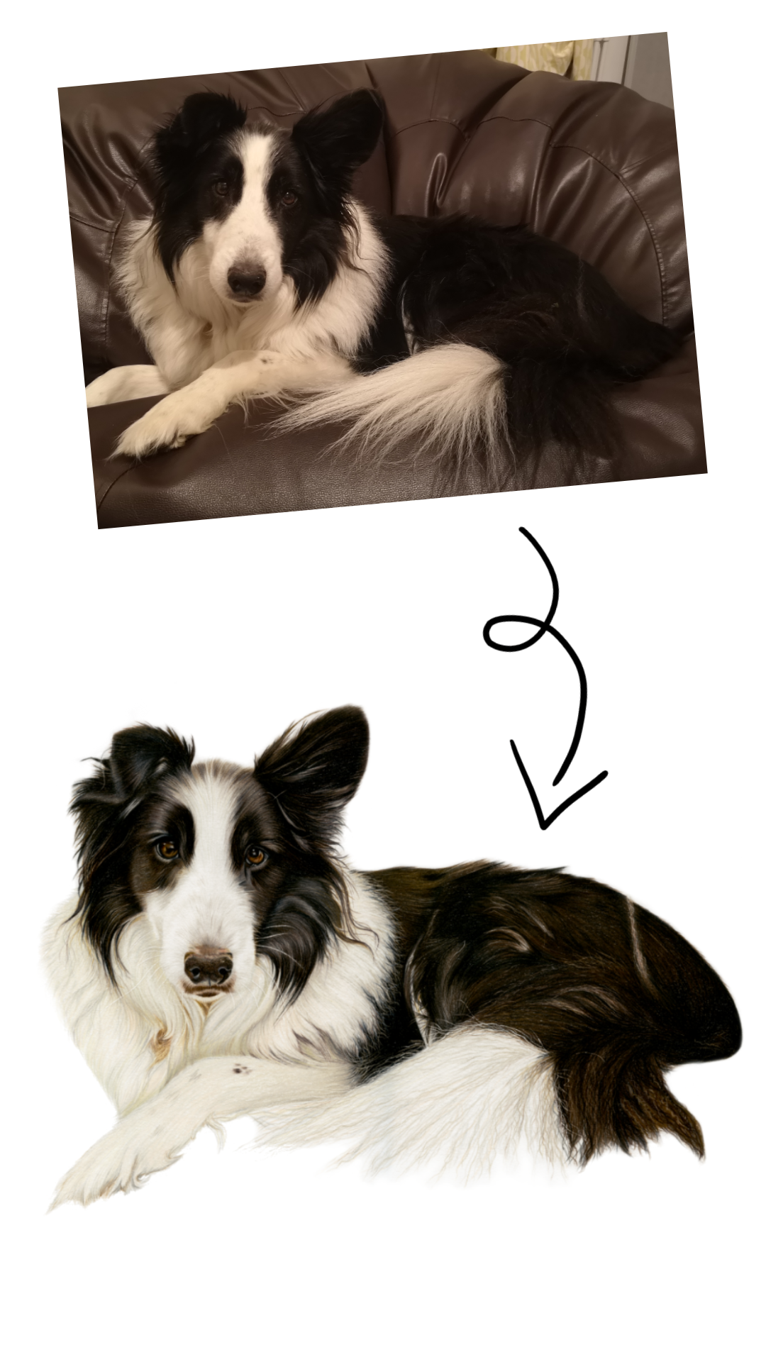 reference photo vs drawing – www.cherrywatson.com